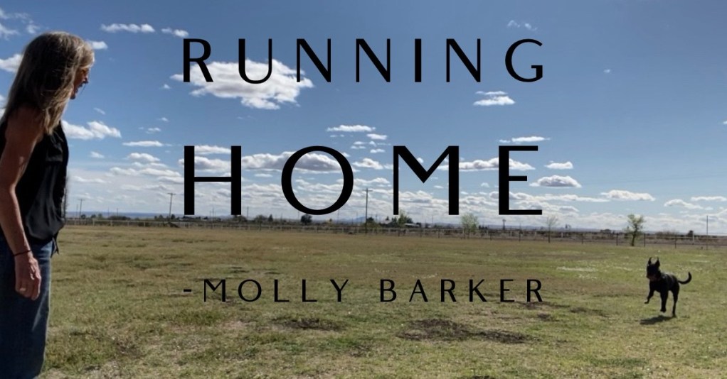 Molly Barker Speaks – Real. Honest. Bold. Catalyst.